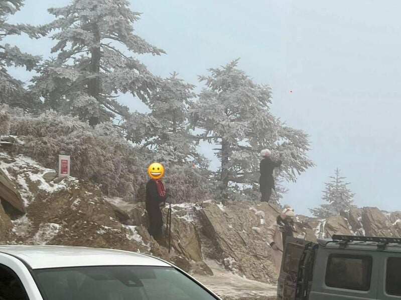 元旦假期違規頻傳，太管處呼籲民眾在國家公園應建立尊重山林素養